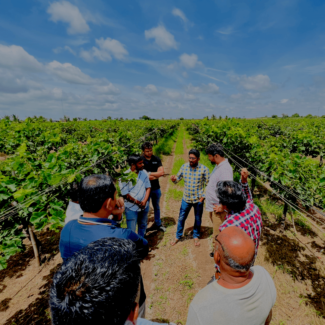 Data Collection | How Fyllo works?