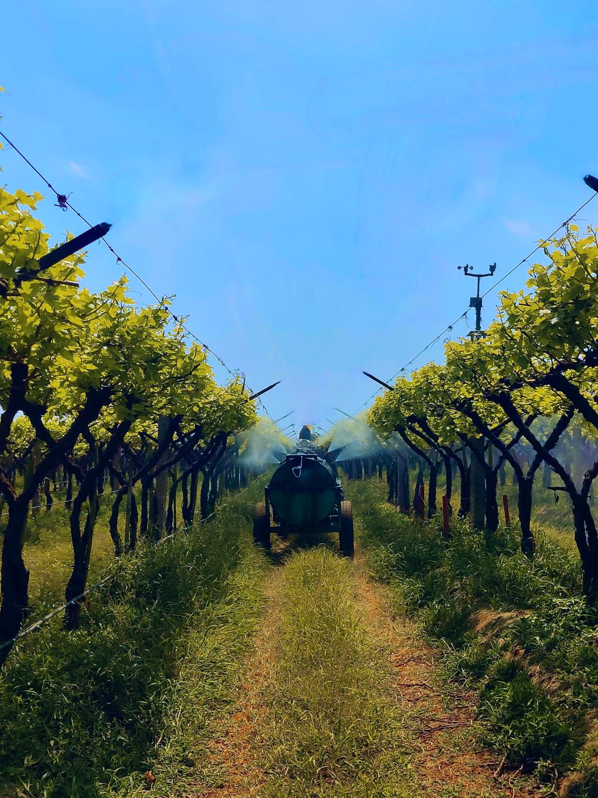 About Fyllo company | What is Fyllo? | How Fyllo works?